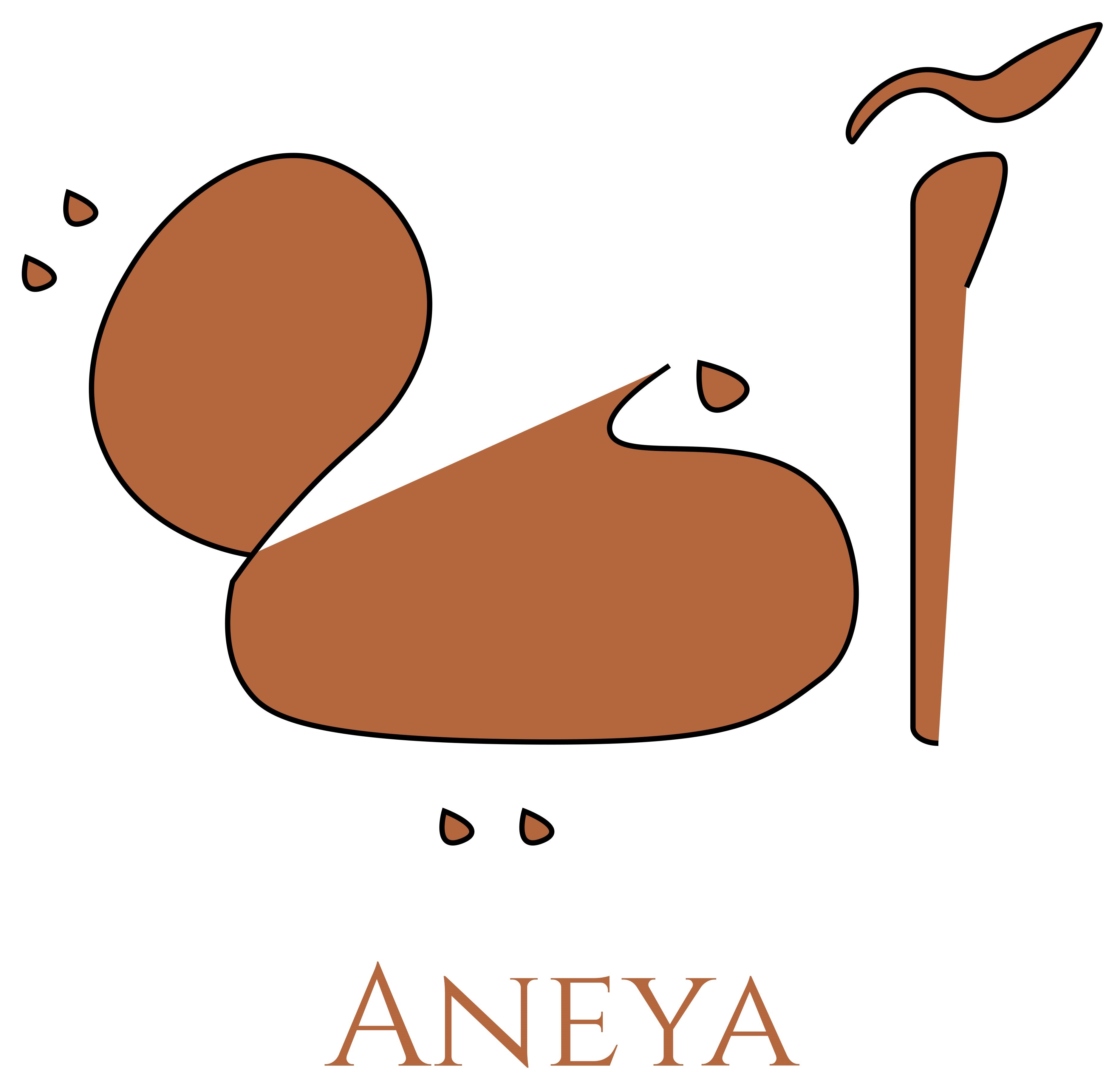 Products – Aneya